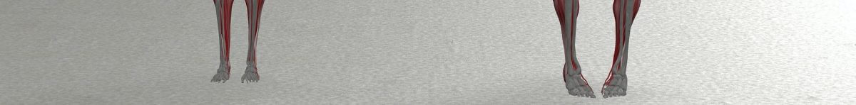 Lipomentfernung - nach der Operation - Operationen, Facharzt- und ...